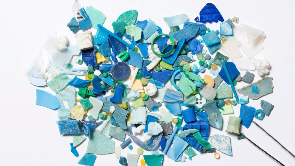Watch CBS Mornings: Expert on dangers of microplastics - Full show on CBS