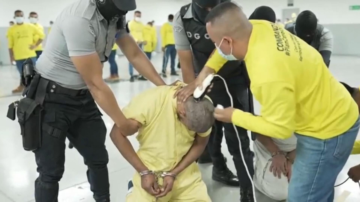 Watch CBS Evening News: What to know on alleged gang member ...