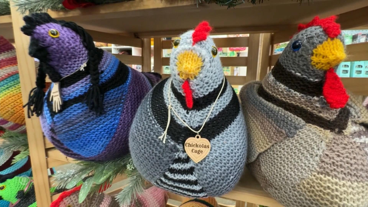Watch CBS Evening News: Knitting emotional support chickens - Full show ...