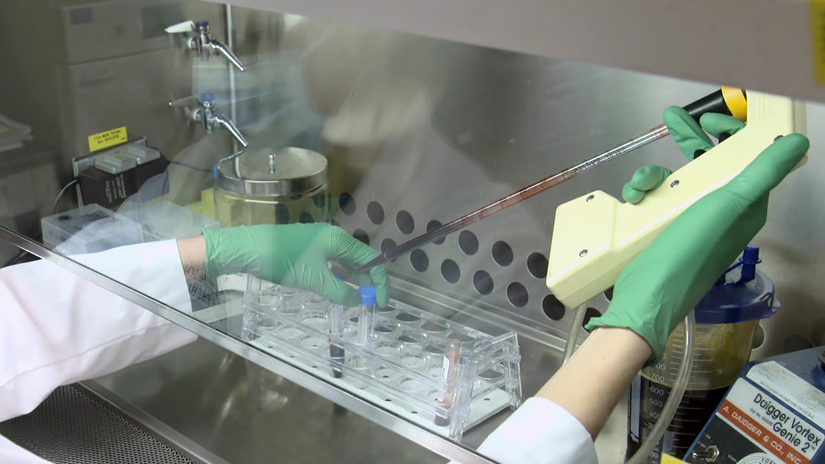 Watch 60 Minutes Overtime: Genetic Revolution | 60 Minutes Archive ...