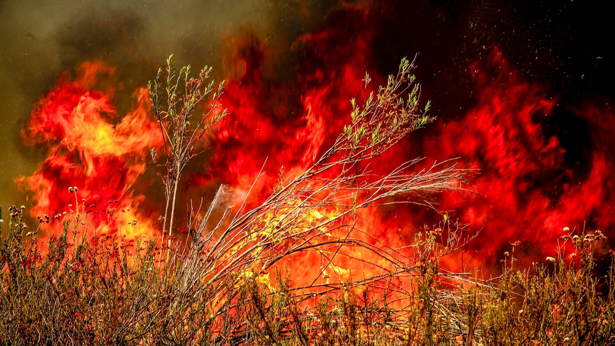 Watch CBS Evening News California wildfire reaches "mega fire" status ...