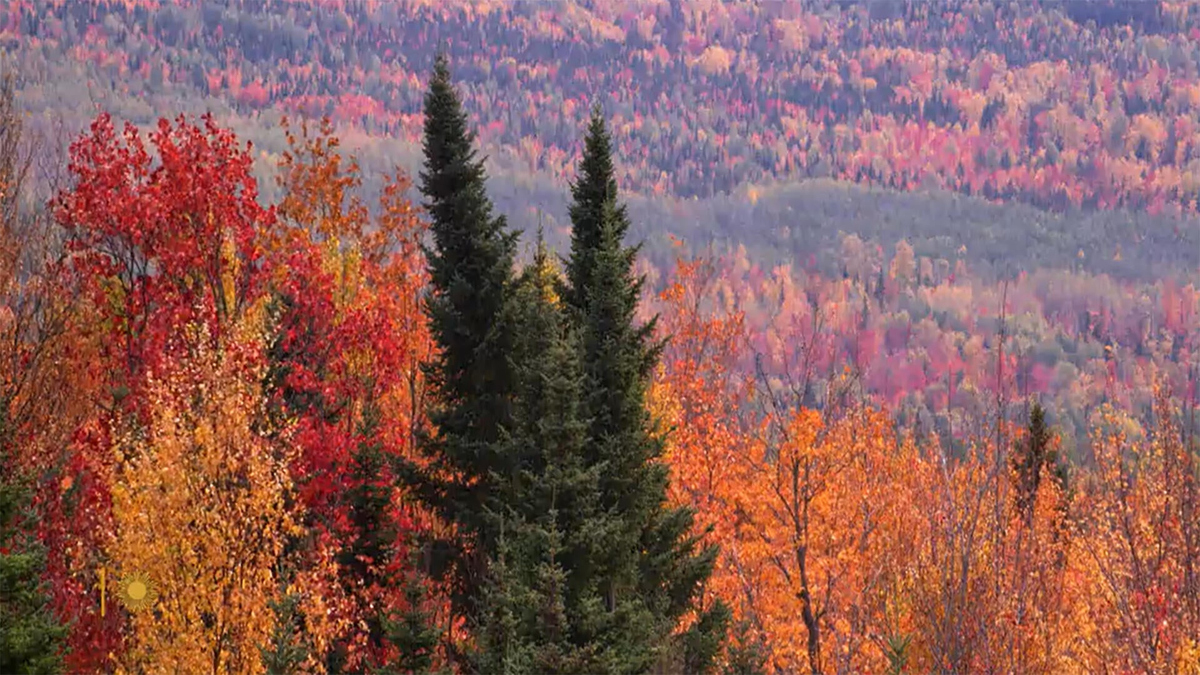 Watch Sunday Morning: Nature: Fall colors in Maine - Full show on CBS