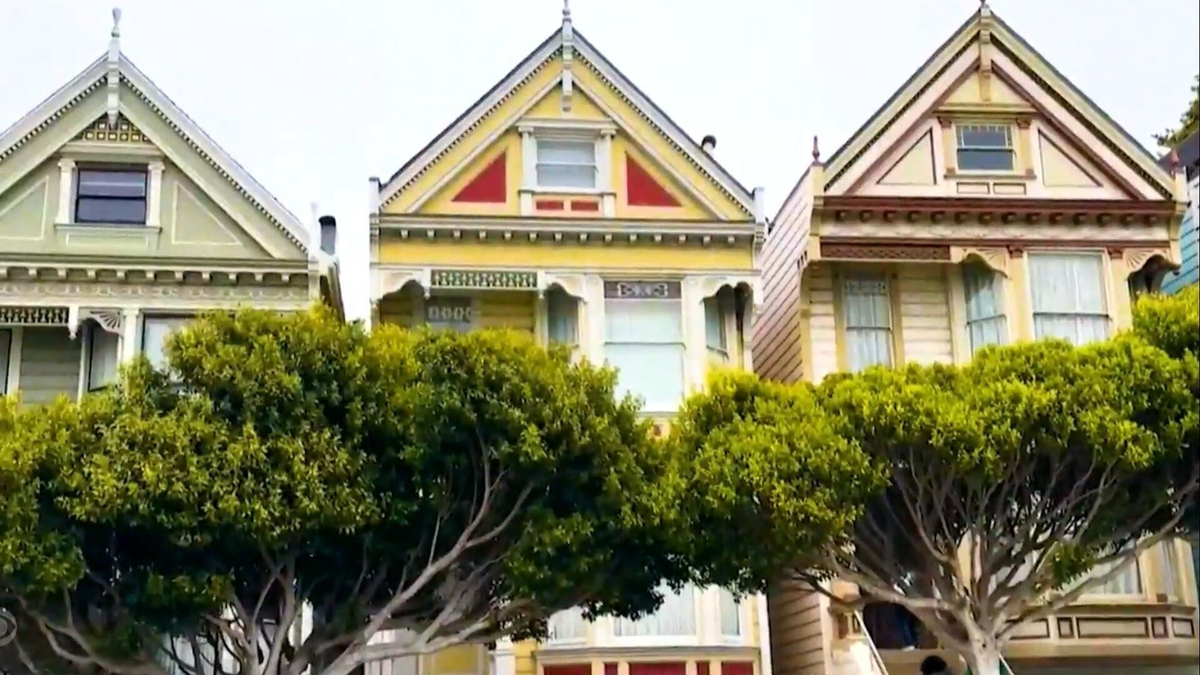 Watch CBS Evening News: Dr. Color's work to maintain Painted Ladies ...