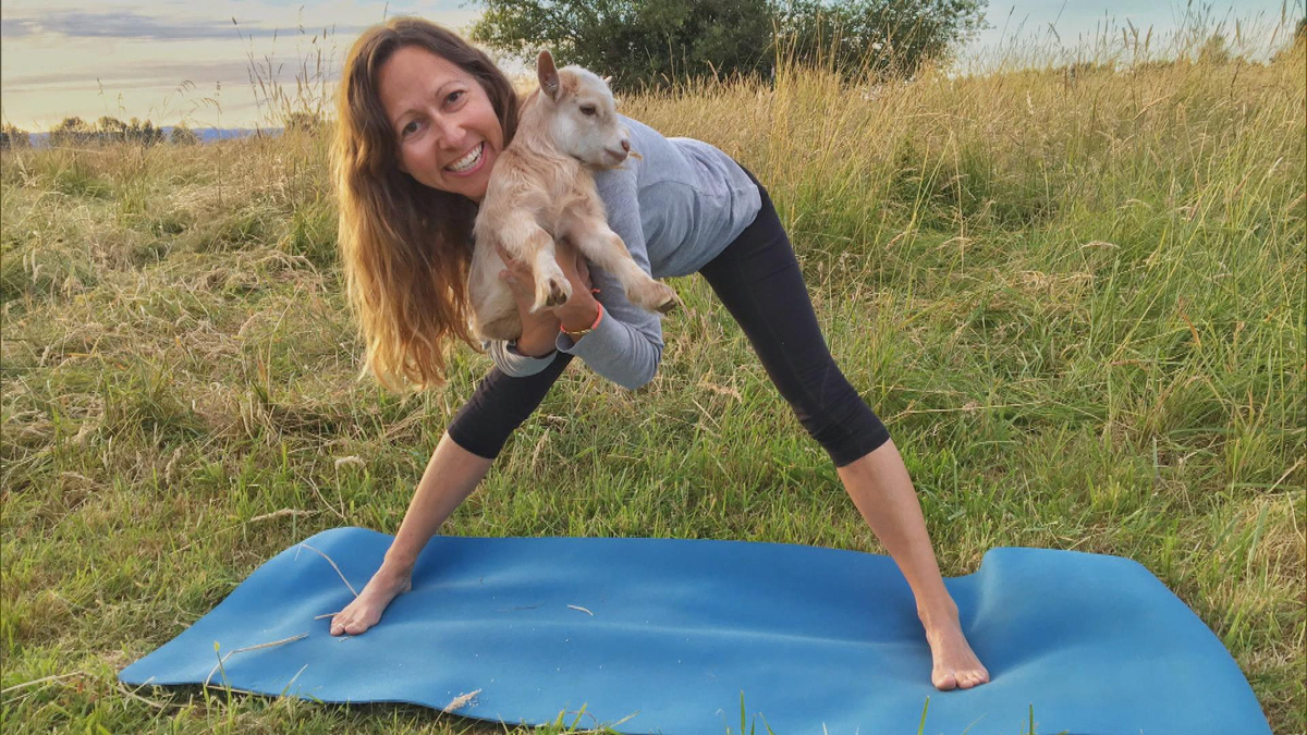 Watch Sunday Morning: When you mix goats and yoga - Full show on CBS