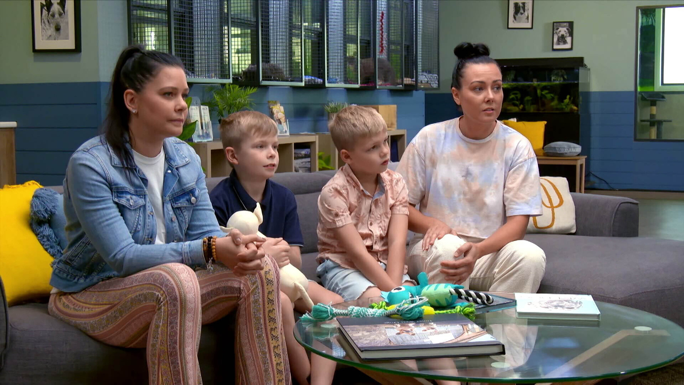 Watch Lucky Dog Down Under Season 1 Episode 3: Harley & Tess - Full ...