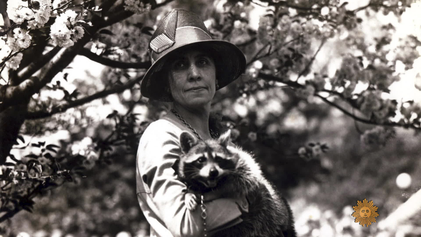 Watch Sunday Morning: All the presidents' pets: Calvin Coolidge's White ...