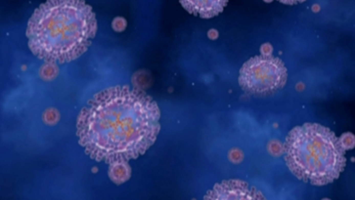 Watch CBS Evening News: U.S. confirms first two cases of monkeypox in ...