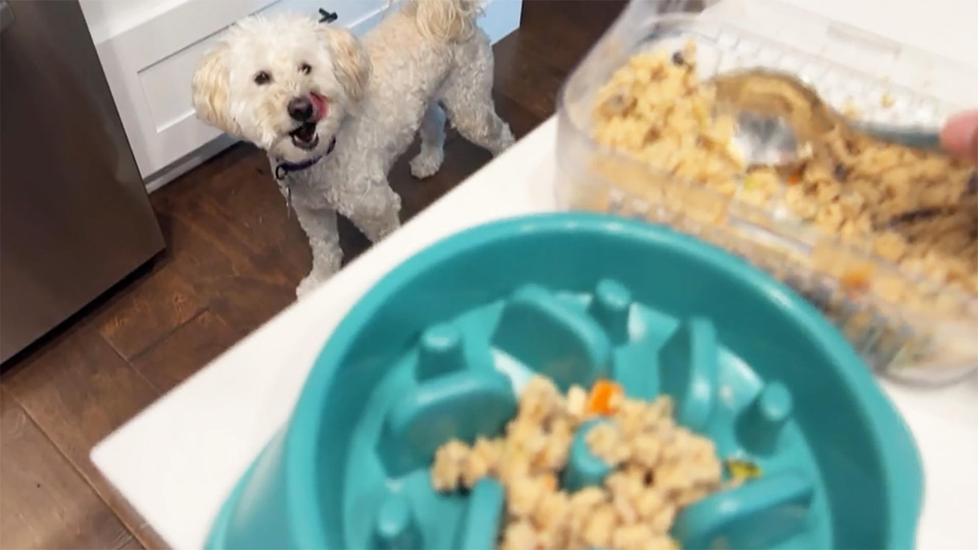 Watch Sunday Morning: Serving up home-cooked dog food - Full show on CBS