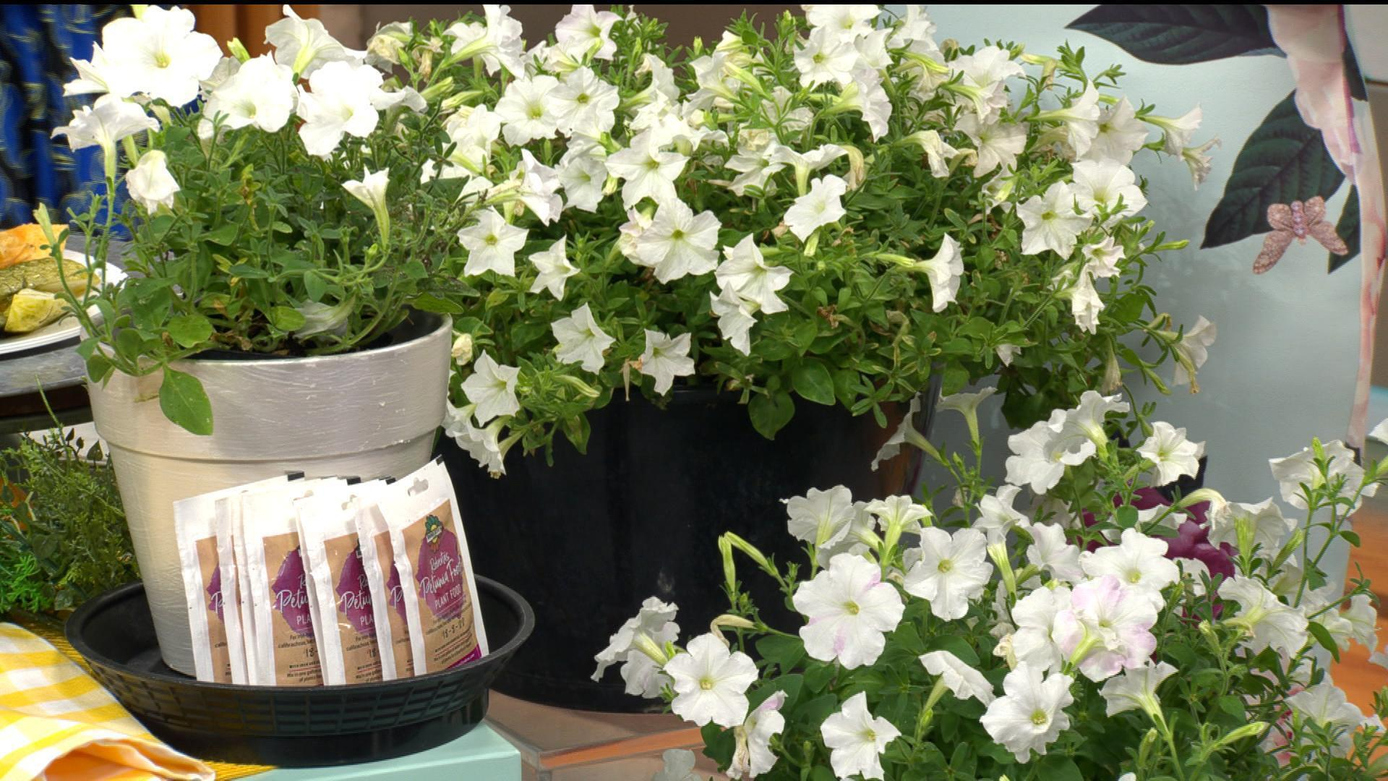 Watch CBS Saturday Morning: Where to get the latest CBS Mornings Deals ...