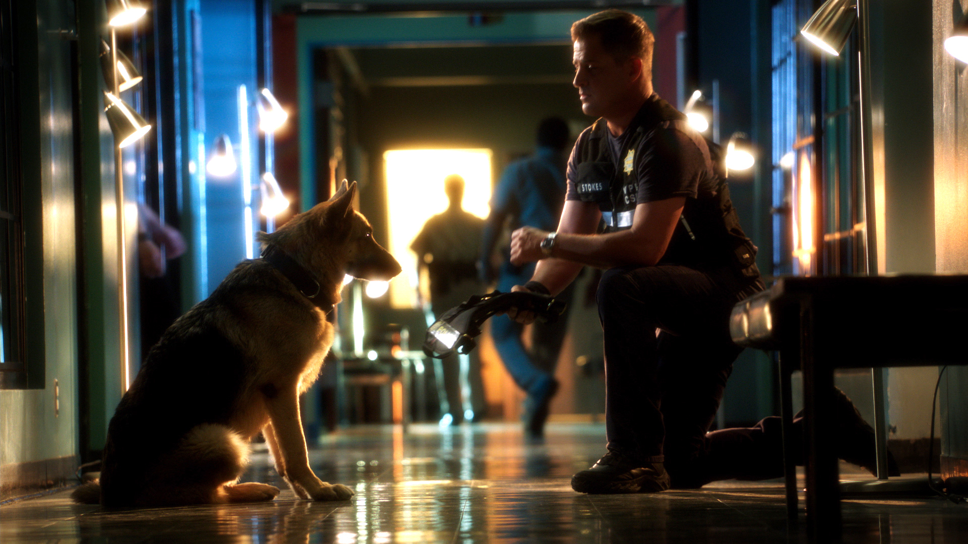 Watch CSI: Crime Scene Investigation Season 13 Episode 5: Play Dead ...