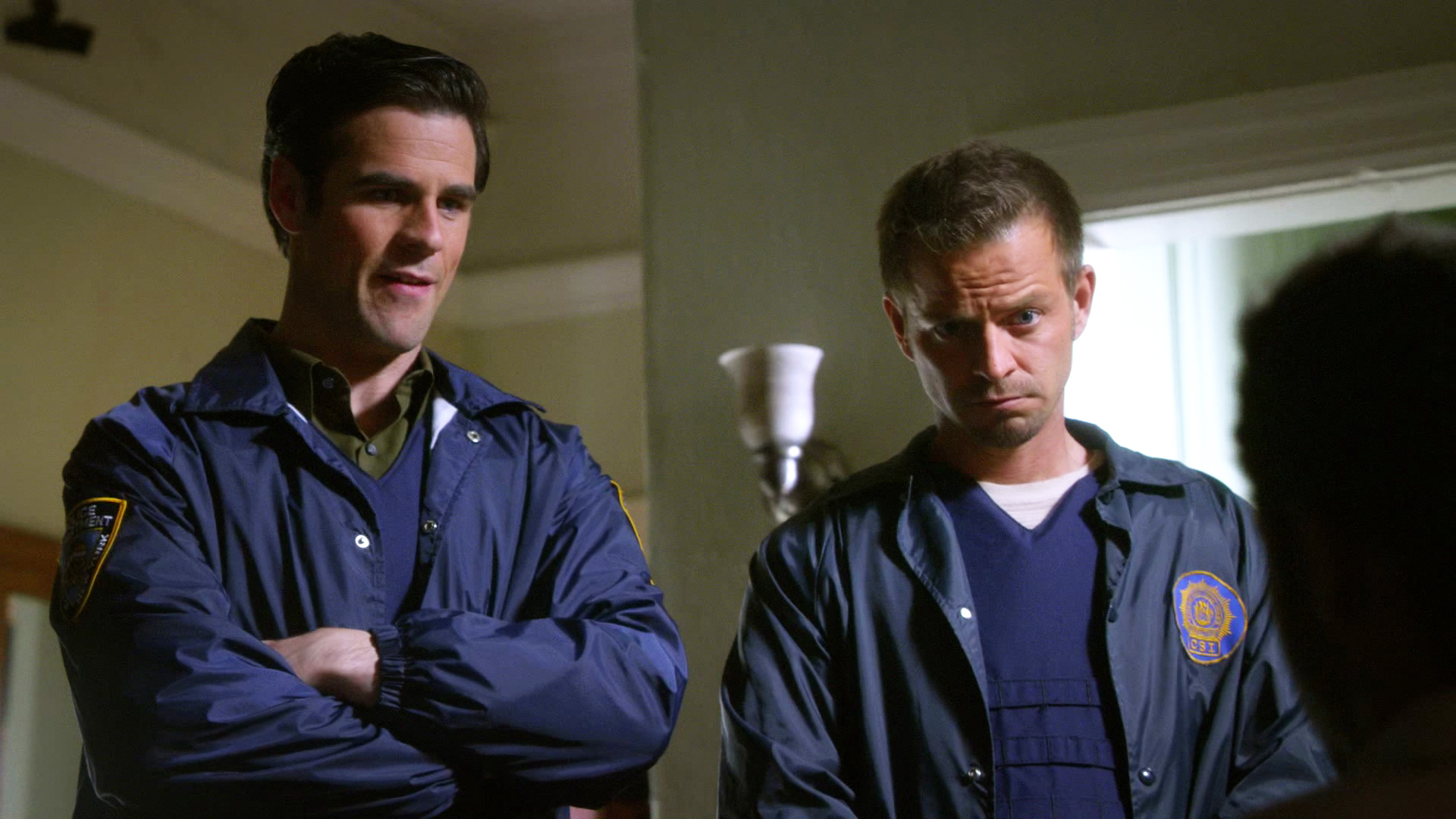 Watch CSI: NY Season 7 Episode 14: CSI: NY - Smooth Criminal – Full ...