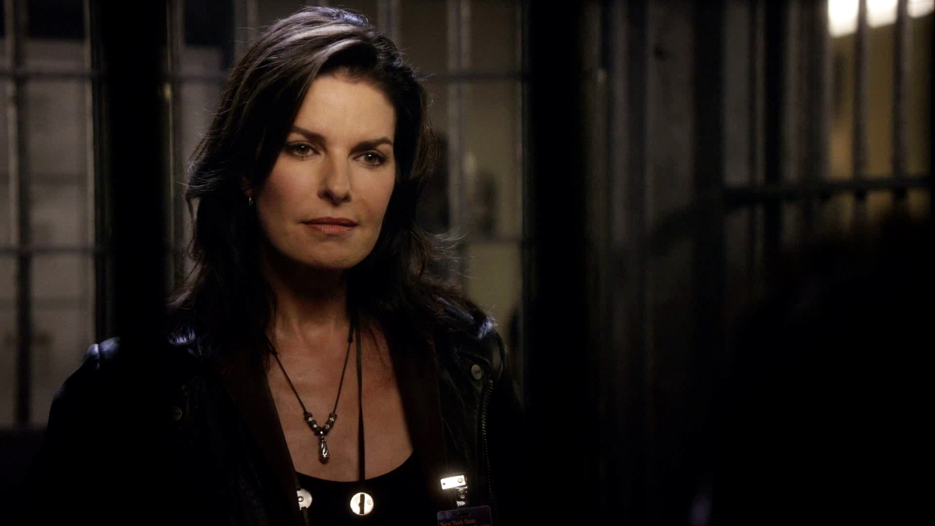 Watch CSI: NY Season 8 Episode 8: CSI: NY - Crossroads – Full show on Paramount Plus