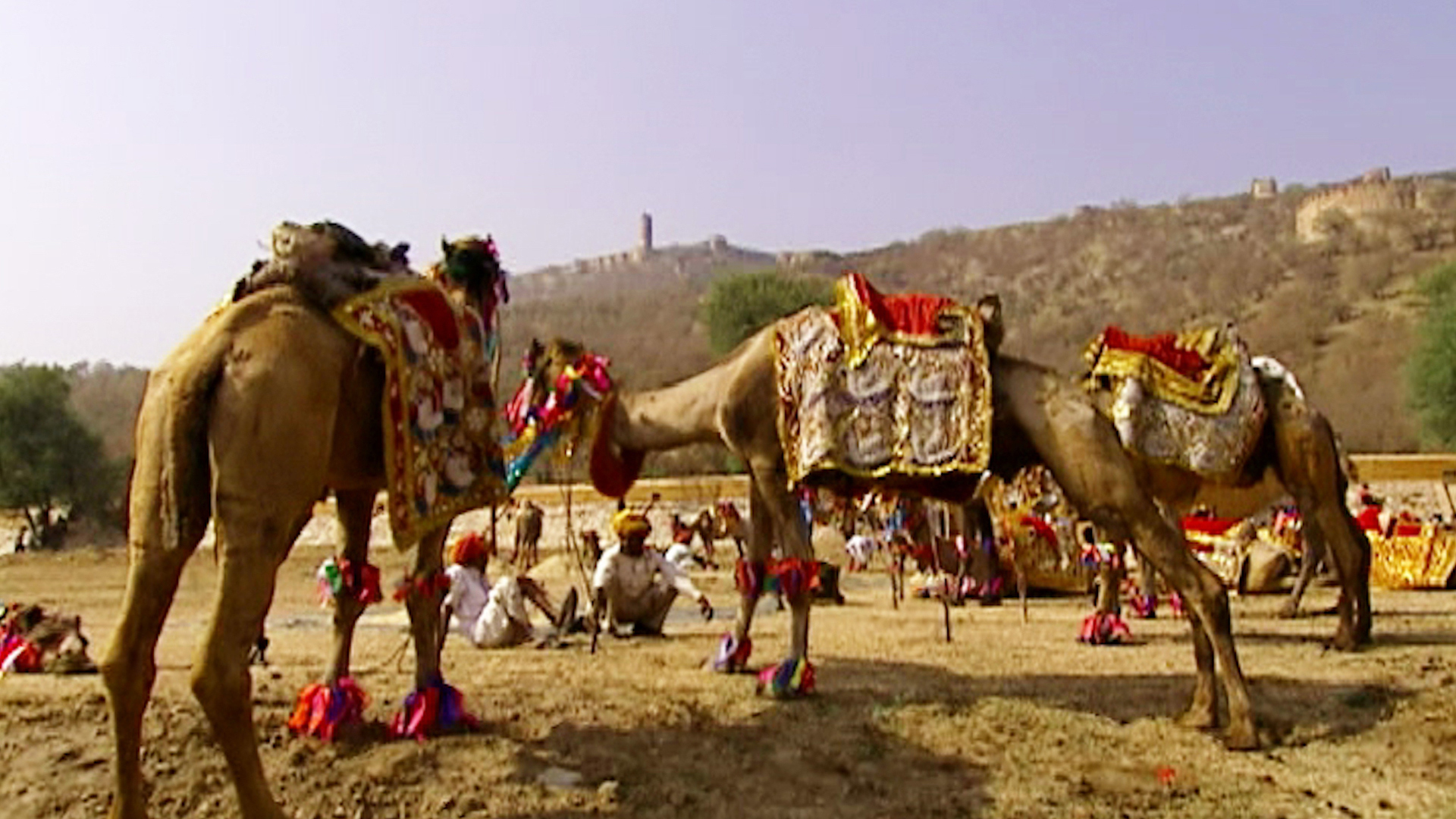 Watch The Amazing Race Season 14 Episode 6: The Amazing Race - Alright Guys, We're At War ...