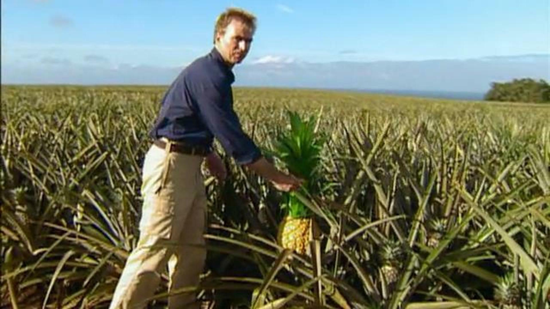 Watch The Amazing Race Season 2 Episode 11: The Amazing Race - Follow ...