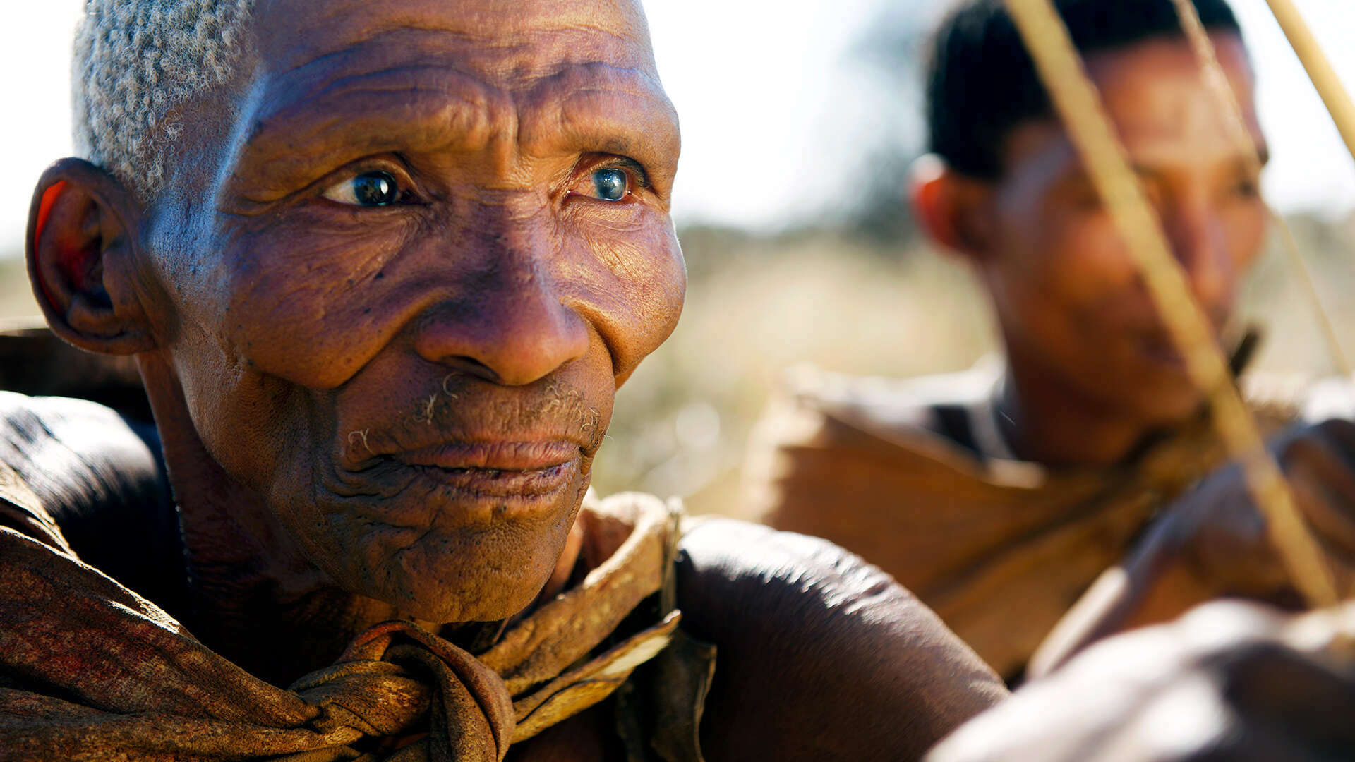 Watch The Life of Earth Season 1 Episode 2: The Age of Humans - Full ...