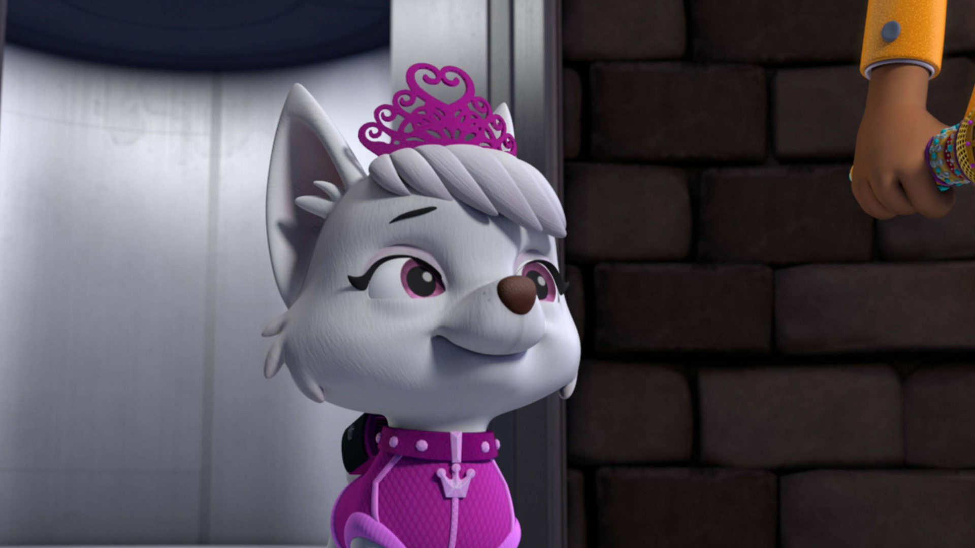 Watch Paw Patrol Season 5 Episode 20 Paw Patrol Mission Paw Pups