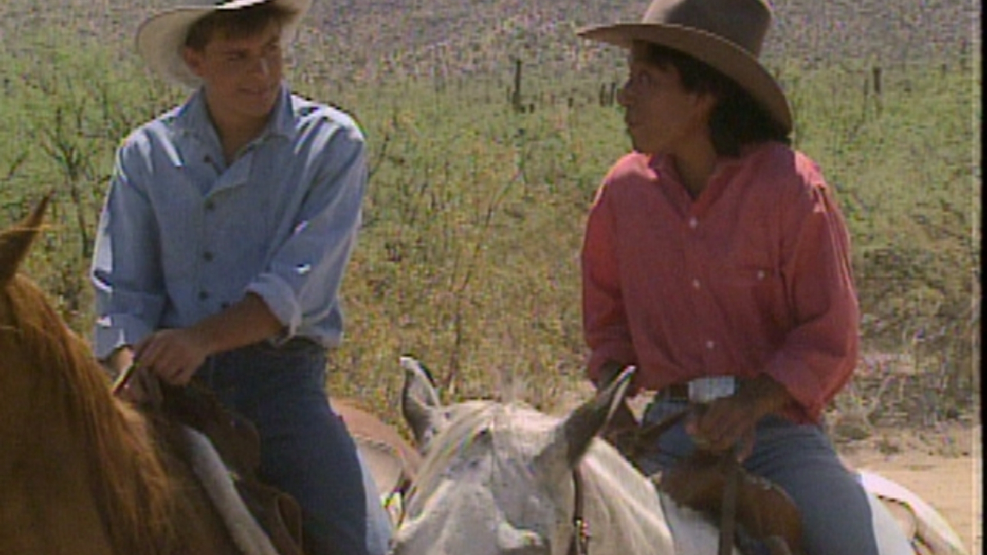 Watch Hey Dude Season 3 Episode 13: Hey Dude - Stick Around – Full show ...