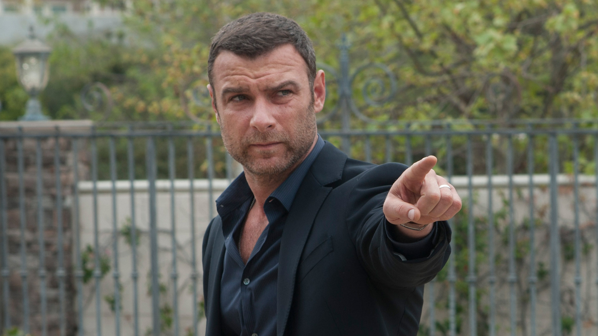 Watch Ray Donovan Season 1 Episode 7: Ray Donovan - New Birthday – Full ...