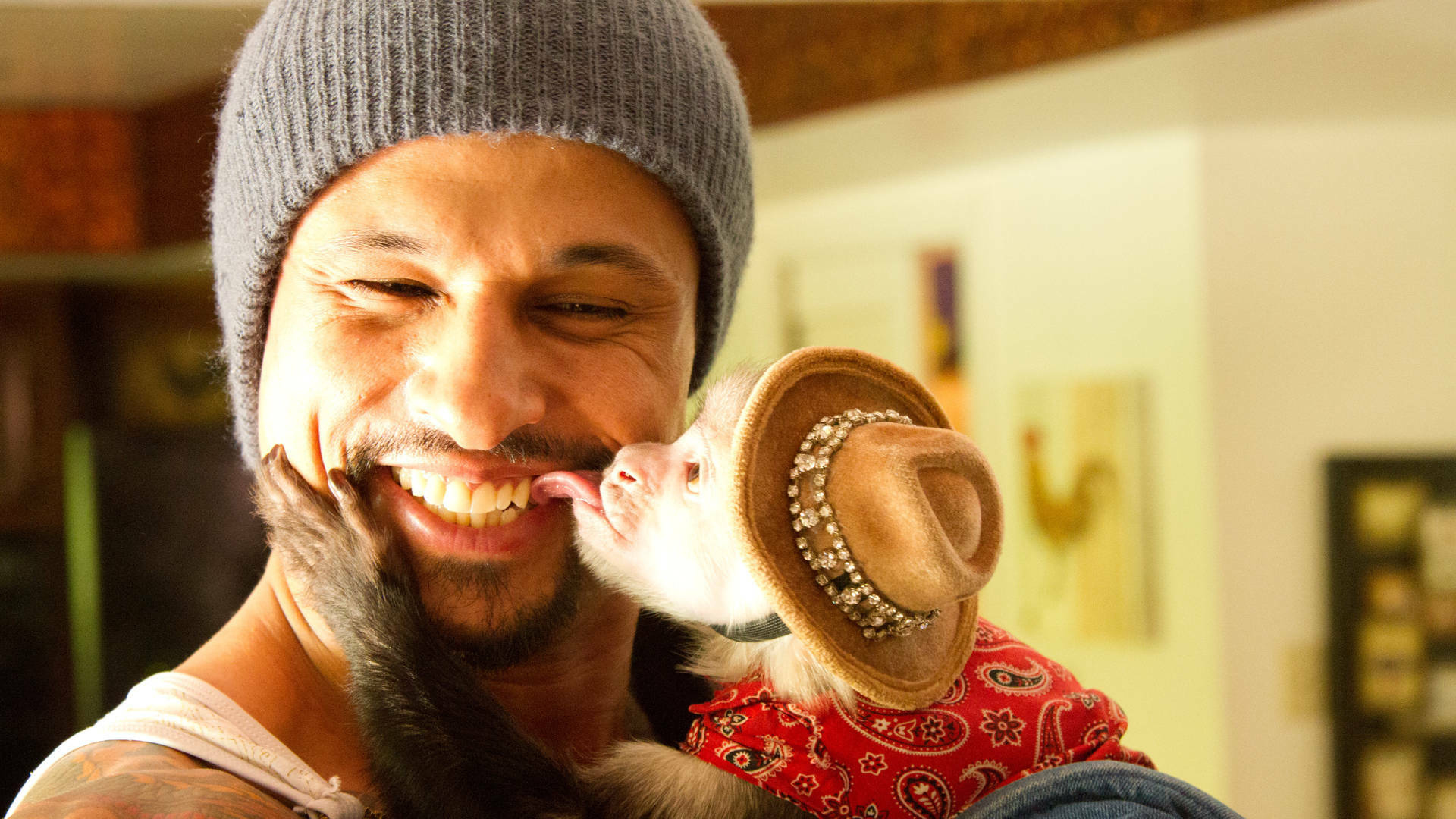 Watch Gigolos Season 6 Episode 5: Gigolos - 605 – Full show on ...