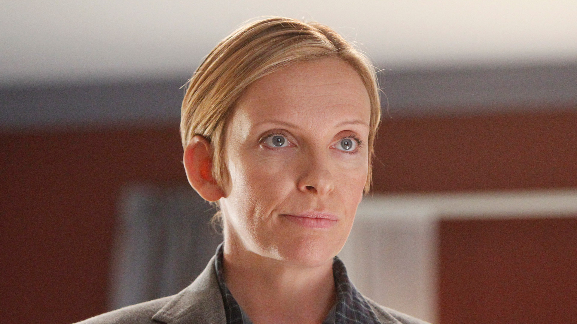 Watch United States Of Tara Season 3 Episode 11: United States Of Tara ...