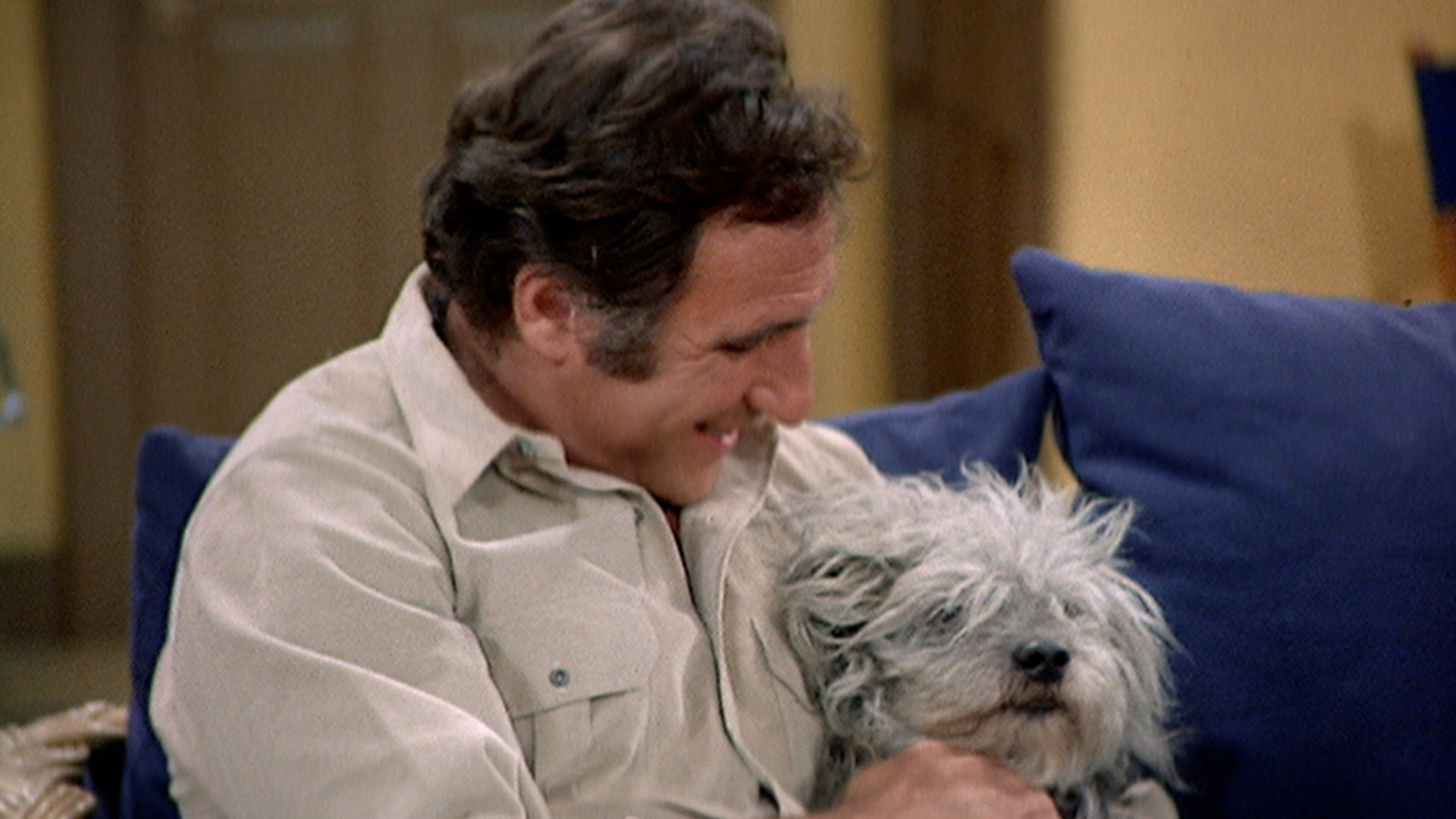 Watch Taxi Season 5 Episode 14: Taxi - Alex's Old Buddy – Full show on ...