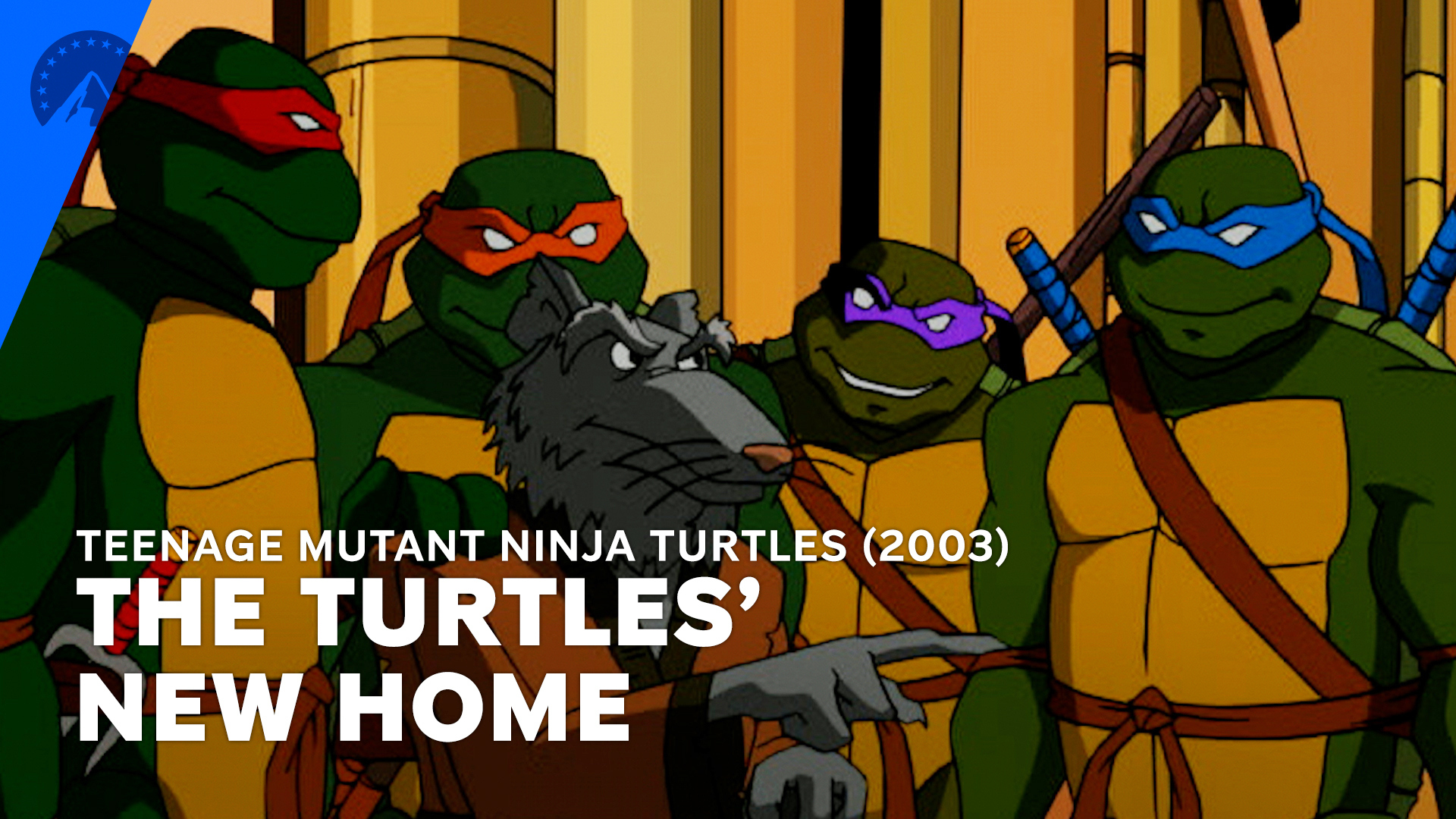 Watch Teenage Mutant Ninja Turtles Season Episode : Teenage Mutant ...