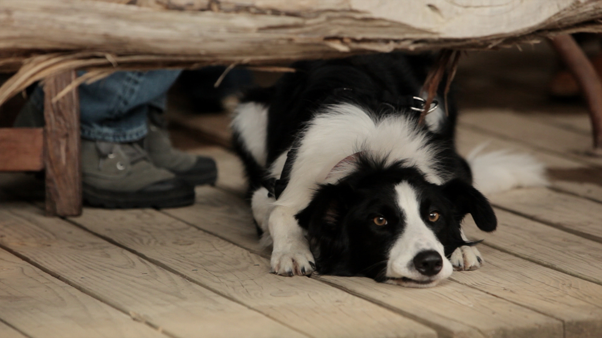 Mi Ángel Guardián - Ver Película Completa en Paramount+ México