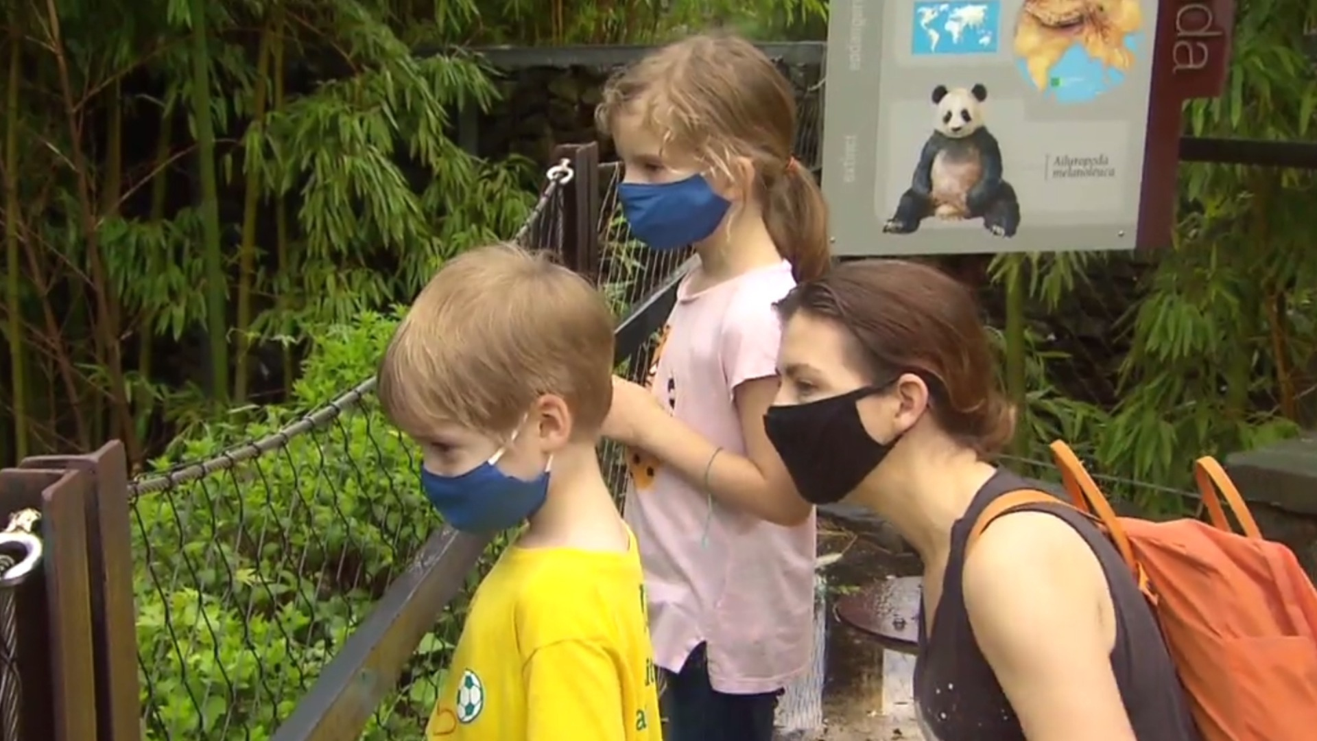 Watch CBS Evening News: National Zoo reopens after 19-week-closure ...