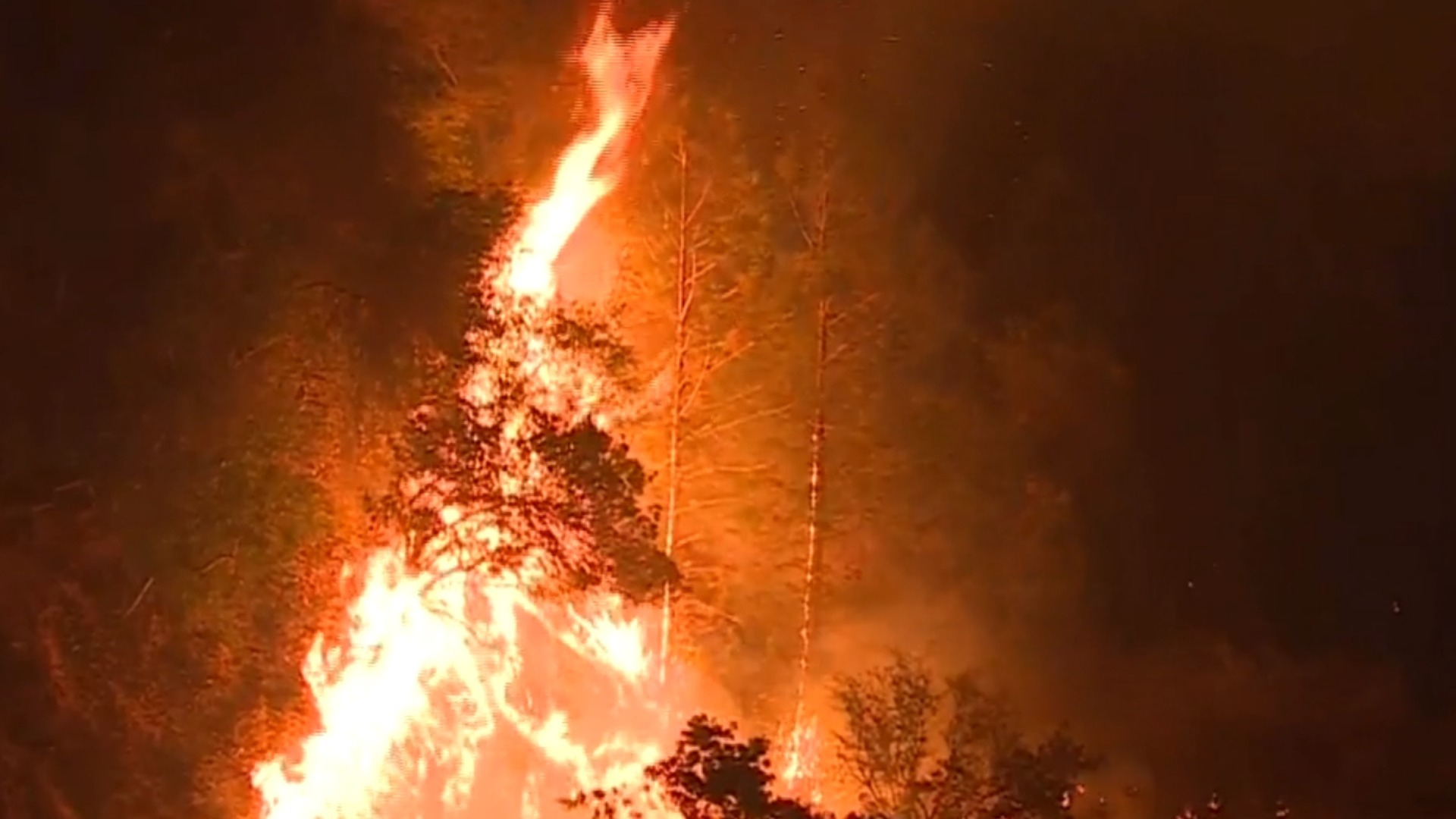 Watch CBS Evening News: Death toll rises in Western wildfires - Full ...