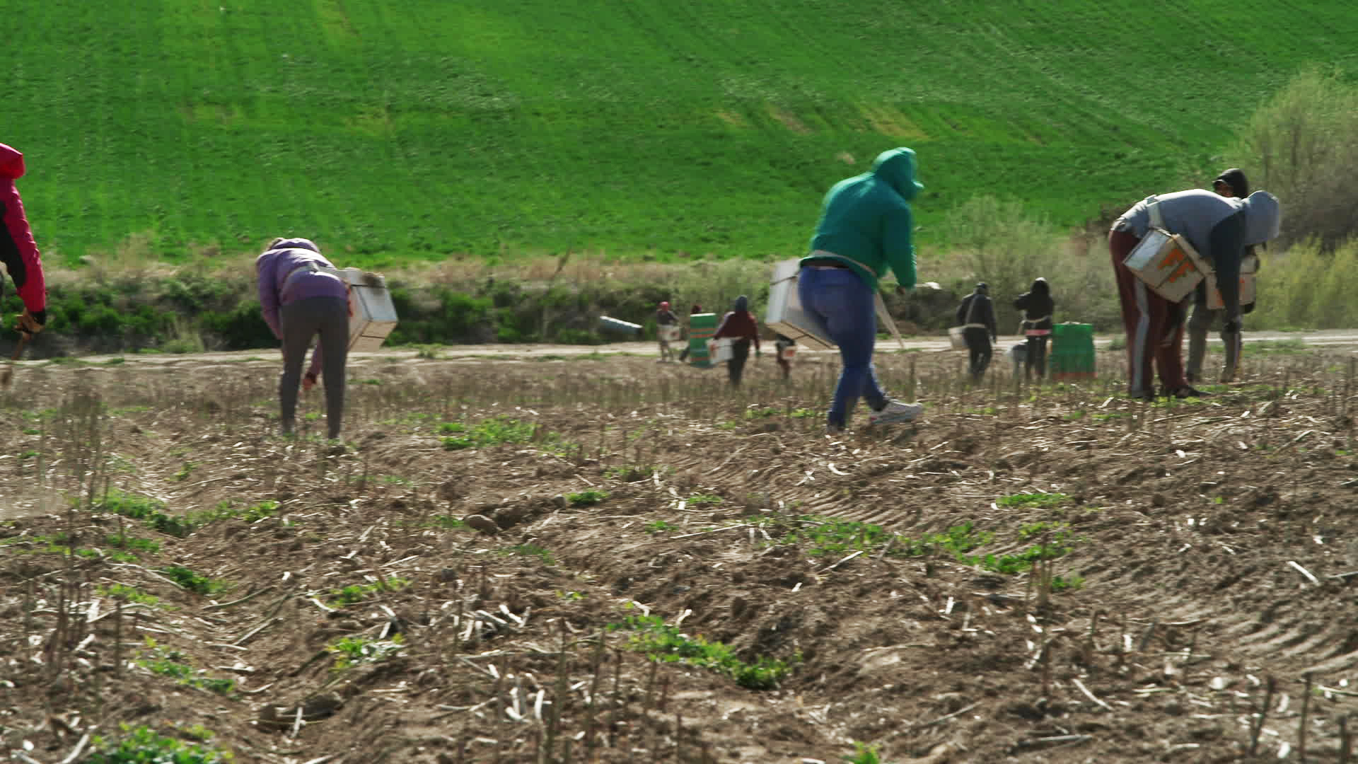 Watch Sunday Morning: Down on the farm: A shortage of agricultural ...
