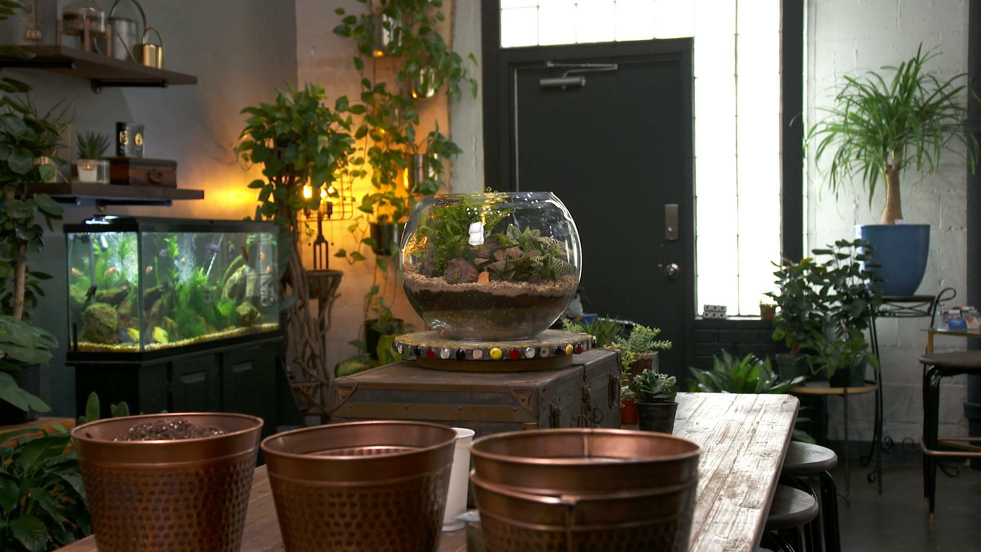 Watch CBS Saturday Morning First-ever plant lounge opens in Dallas ...