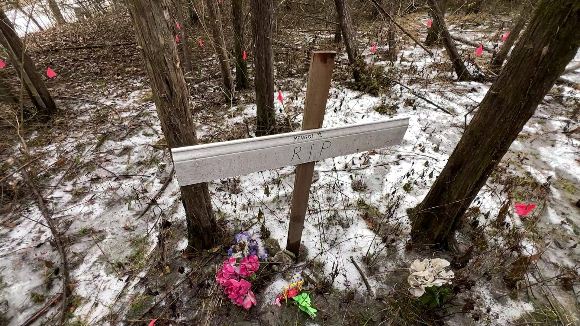 Watch 48 Hours Season 35 Episode 15: The Tree that Helped Solve a ...