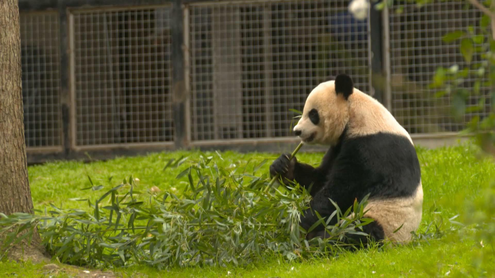 Watch CBS Saturday Morning Season Episode : Looking back at 50 years of ...