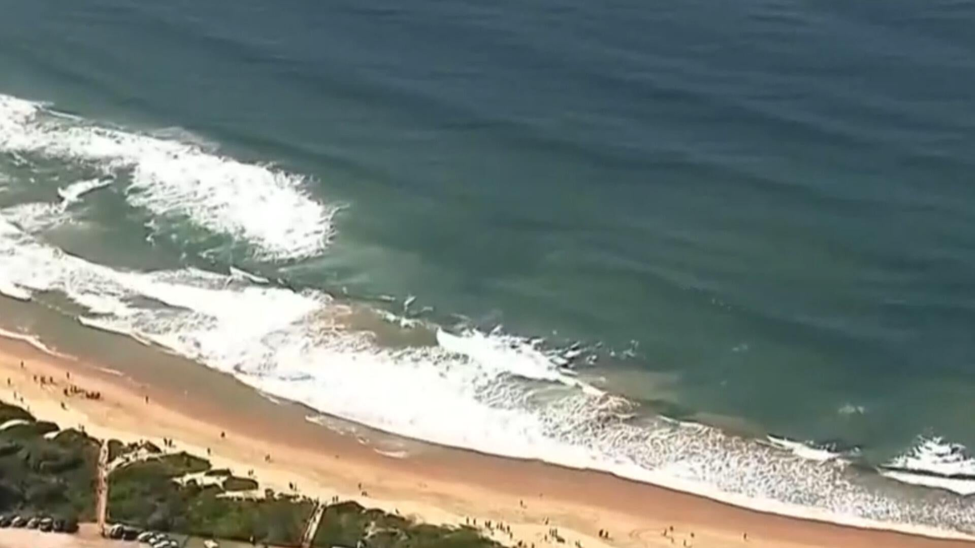 Watch CBS Mornings: Australian surfer killed in shark attack - Full ...