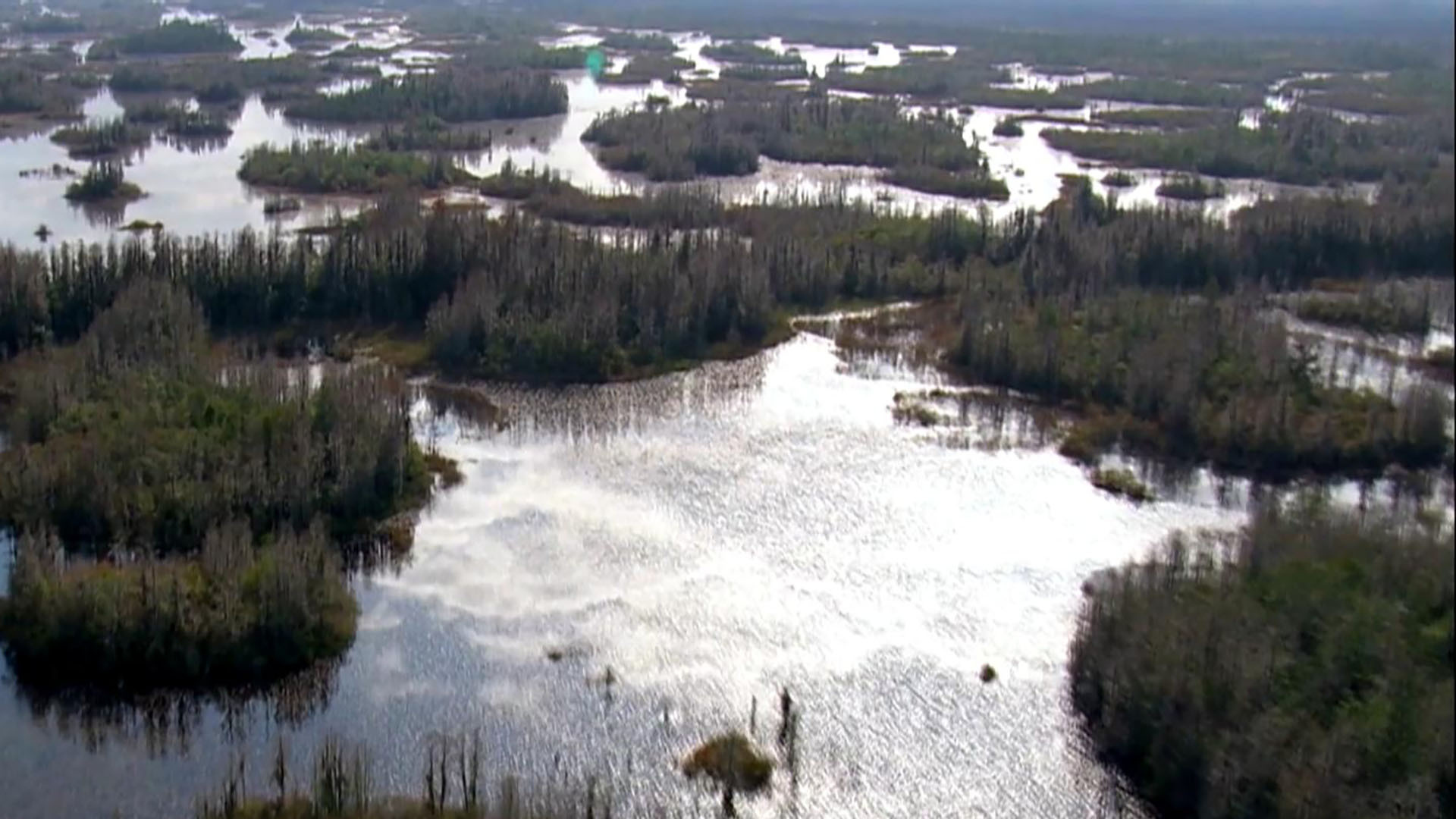 Watch The Uplift Season 2025 Episode 35: The Uplift: Save the Swamp - Full show on CBS