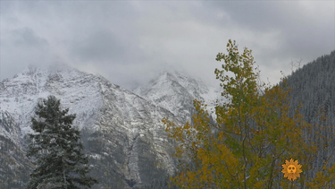 Watch Sunday Morning: Nature: Colorado forest - Full show on CBS