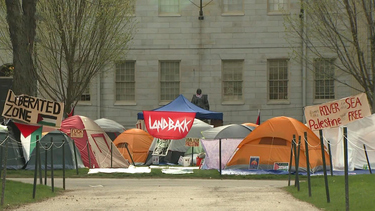 Watch CBS Mornings: More arrests at college protests over Gaza - Full ...