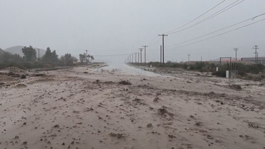 Watch CBS Evening News Season 2025 Episode 350: 12/25: CBS Evening News ...