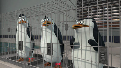 The Penguins of Madagascar Season 1 Episodes - Watch on Paramount+ ...