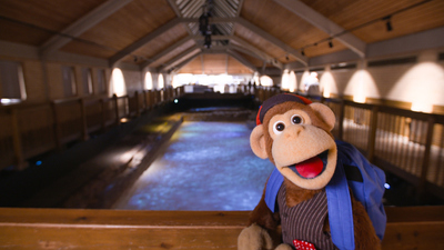 Milkshake! Monkey's Amazing Adventures - Watch on Paramount+ United Kingdom