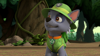 PAW Patrol: La squadra dei cuccioli: episodi stagione 8 - Guarda su ...