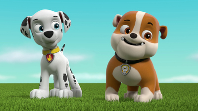 PAW Patrol: La squadra dei cuccioli: episodi stagione 8 - Guarda su ...