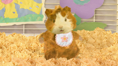 Wonder Pets Staffeln & Folgen - Auf Paramount+ Deutschland