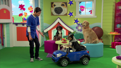 Mutt & Stuff - Watch on Paramount+ Canada