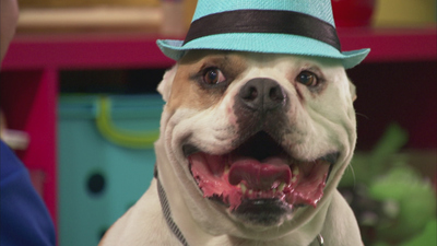 Mutt & Stuff - Watch on Paramount+ Canada