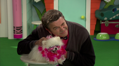 Mutt & Stuff - Watch on Paramount+ Canada