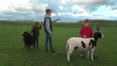 Springtime on the Farm - Watch on Paramount+ United Kingdom