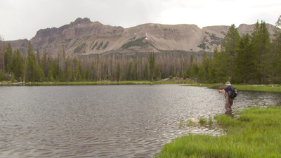 CBS News Specials - CBS - Watch on Paramount Plus