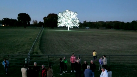 Watch CBS Mornings Season Episode : Pecan tree decorated for Christmas ...