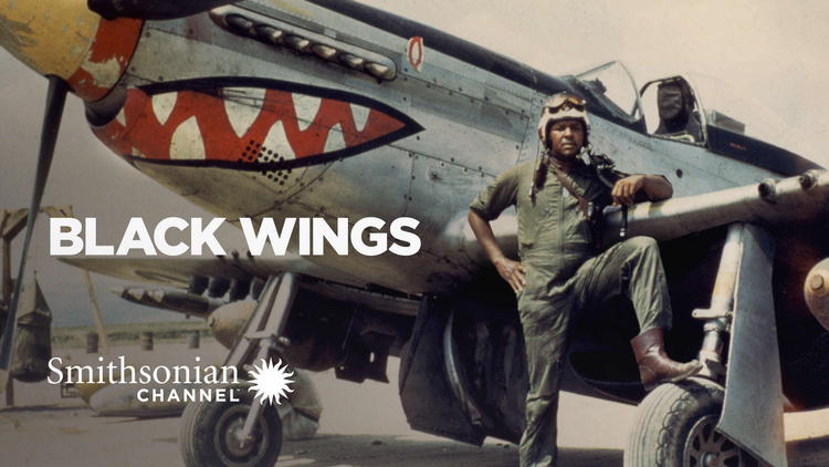 Black Wings - Watch Full Movie on Paramount Plus